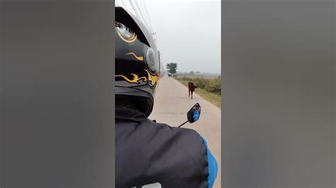 Rgt Biker Bikers Foryou Motovlog Youtubeshorts Rider Follow