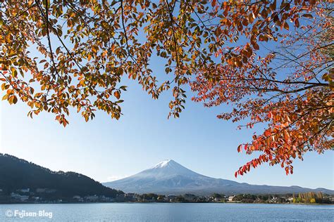 富士山写真 年河口湖紅葉状況 富士山写真ブログ 富士山富士五湖の情報ブログ