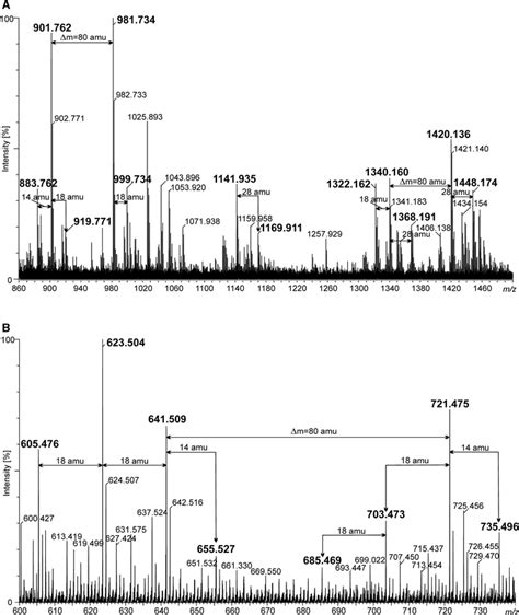 Positive Ion Mode Maldi Tof Ms Spectra A Part Of The Spectrum Download Scientific Diagram