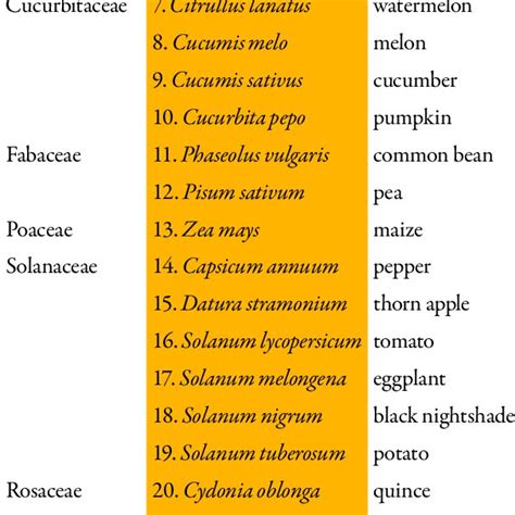 Host Plants Of Tetranychus Ludeni In Serbia 2019 2021 Download