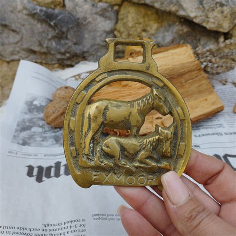 Vintage Brass Horse Harness Medallion Horse Pony Exmoor Cast Brass