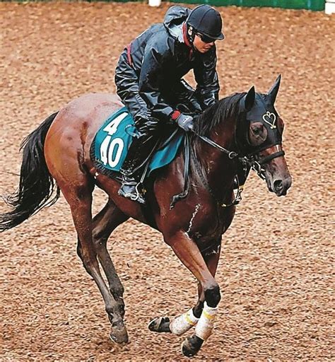 【pog】2歳新馬戦独断評価（16，17日） 半兄はg2勝ち馬！センス光ったエレガントルビー競馬・レースデイリースポーツ Online