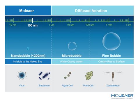 What Are Nanobubbles Moleaer