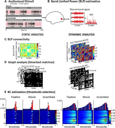 Figure 1 From Topology Of Functional Connectivity And Hub Dynamics In