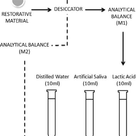 Schematic Illustration Of The In Vitro Experimental Design Download
