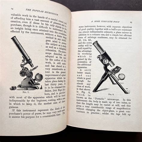 1902 Common Objects Of The Microscope Honey Bee Mill