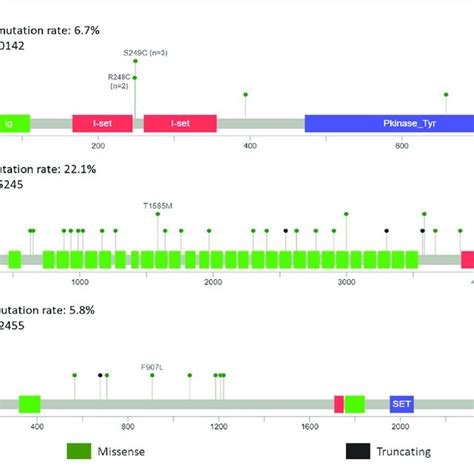 Pictorial Representation Of Single Nucleotide Variant Distribution On Download Scientific