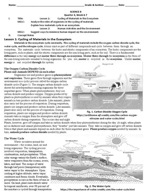 Science 8q4w6 7ecosystem Pdf Ecosystem Agriculture