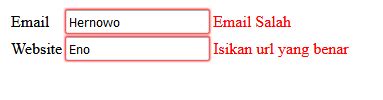 Cara Membuat Validasi Form Input Dengan Angularjs