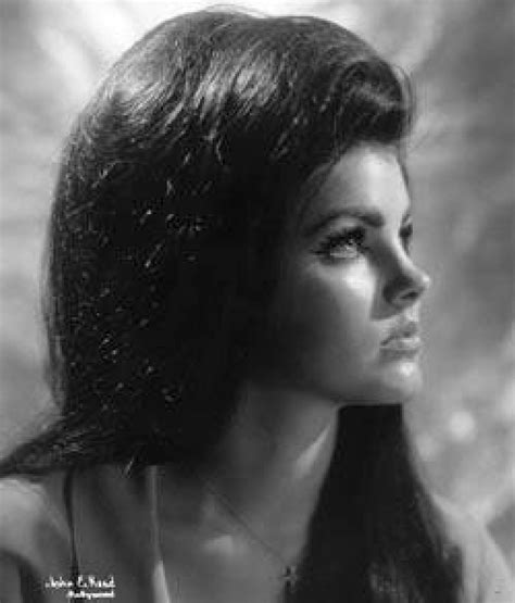 Meet The Dream Gurl Priscilla Presley Young Priscilla Presley