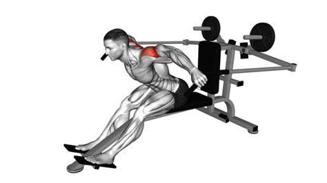 Bodyweight Bent Over Rear Delt Fly Exercise Guide And Tips