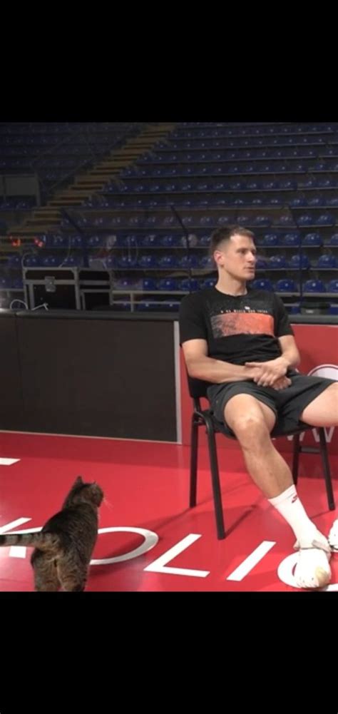 татино мезимче On Twitter неко да вас гледа као љубица неду