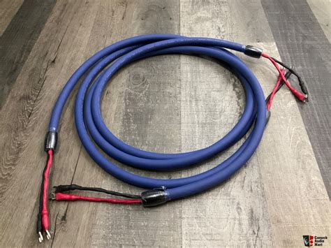 Cardas Clear Cygnus Speaker Cable 25m Dealer Ad Canuck Audio Mart