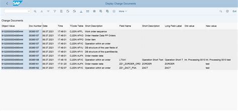 Using Key User Extensibility Custom Fields In St Sap Community