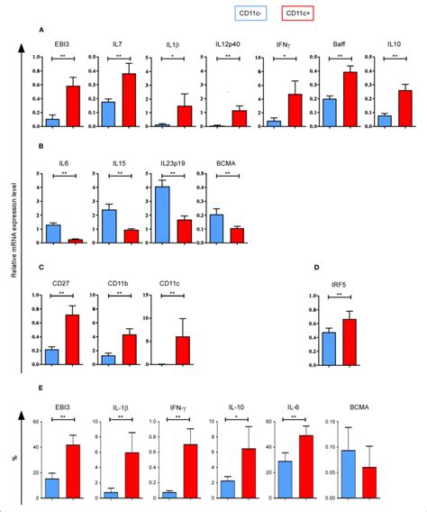 Cytokine Profile Of Cd11c B Cells As Well As Cd27 Cd11b Cd11c