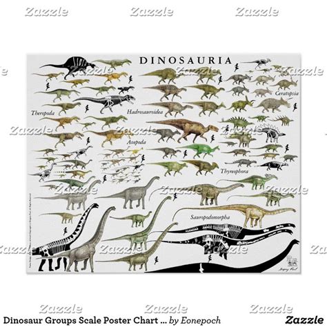 Dinosaur Groups Scale Poster Chart Gregory Paul 1 Zazzle Dinosaur