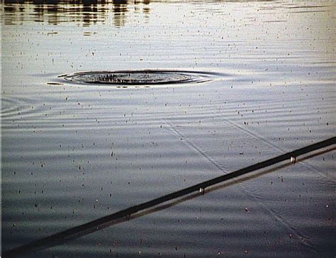 Fly Fishing In Yellowstone National Park Hot Group Sex