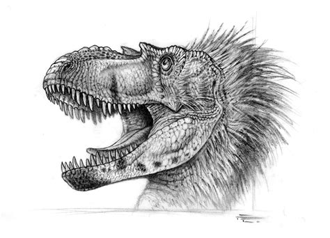 Gorgosaurus Sketch By Paleopastori On Deviantart