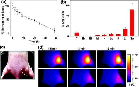 Extended Circulation Time Inactive Tumor Targeting And Photothermal