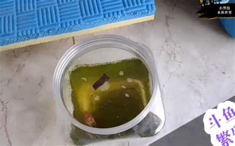 Bilibili