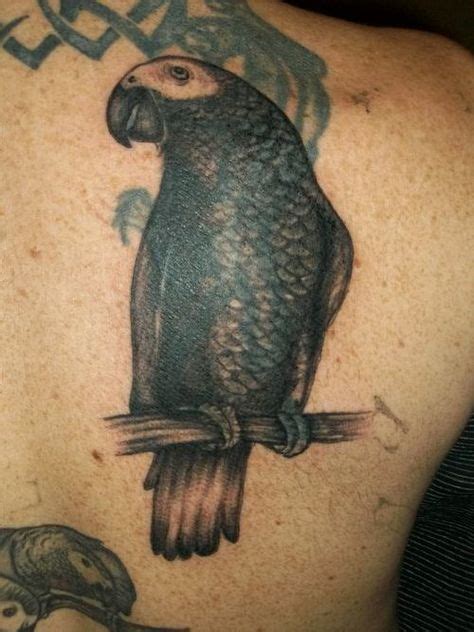 13 Best Cockatoo Tattoo Images Tattoos Tattoo Designs Cockatoo