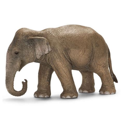 Schleich 14654 Asian Elephant Female Toy Dreamer