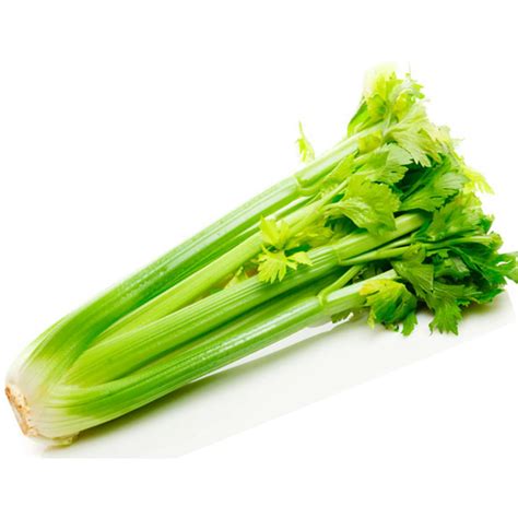 Celery Bunch Gateway Stream Online Shop Zimbabwe Grocery To