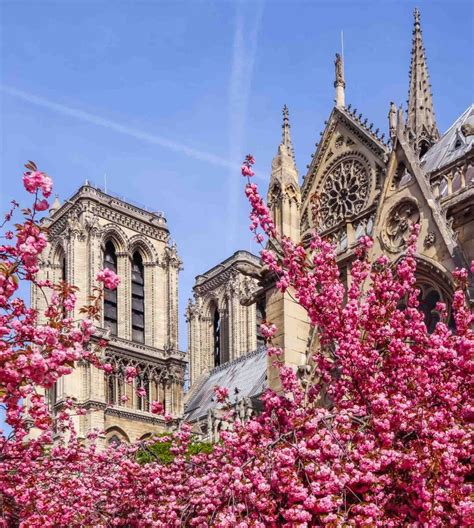 Where To Stay In Paris Best Areas Tips Updated Roaming Paris