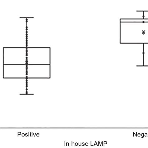Gel Electrophoresis Pattern Of The In House Lamp Assay Lane 1 1 Kb