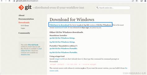 小工具随手记：windows下安装git并clone一个项目 阿里云开发者社区