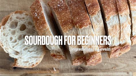 초보님들을 위한 사워도우 베이킹 시리즈 재료편 1 르방 Sourdough Baking For Beginners