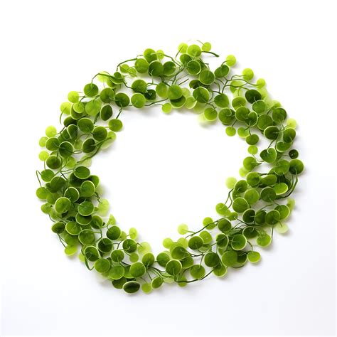 Premium Ai Image Udotea Green Algae With Small Disclike Segments