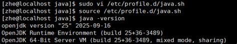 Linux 安装配置 Openjdk 25 Csdn博客