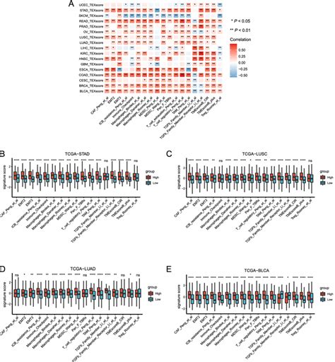 Texscore Correlates With Immunosuppressive Microenvironment A A Texscore Correlates With Immunosuppressive Microenvironment A A