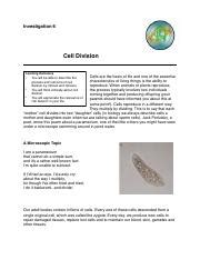 Lab 5 Cell Division Pdf Investigation 6 Cell Division Learning Outcomes Cells Are The Basis Of