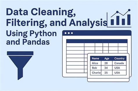Clean And Organize Your Data Using Python And Pandas By Marqueslucio Fiverr