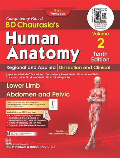 Thieme Dissector Volume 2 Abdomen And Lower Limb In Anatomy Pustak