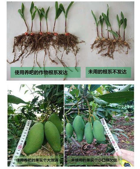 红四方养吧增效控失肥46（26 13 7）控失肥红四方复合肥品牌复合肥复合肥生产厂家