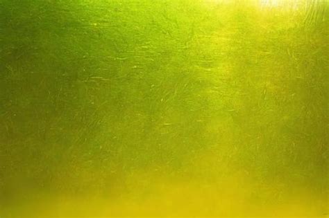 무료 벡터 제목