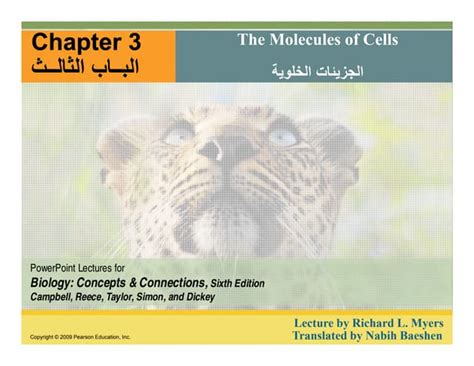 Chapter 3 Compatibility Mode Ppt