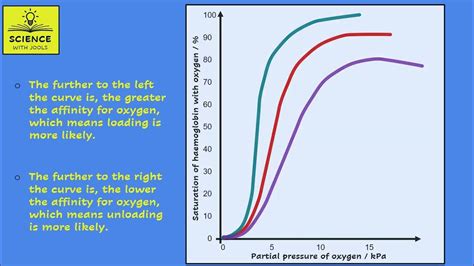 Heamoglobin Youtube
