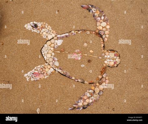 Turtle Made By Seashells In The Sand Stock Photo Alamy