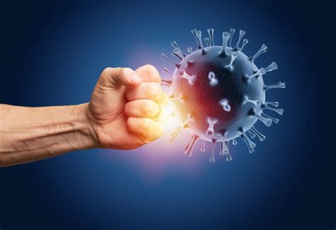 7 Formas Efectivas De Fortalecer El Sistema Inmunológico Naturalmente
