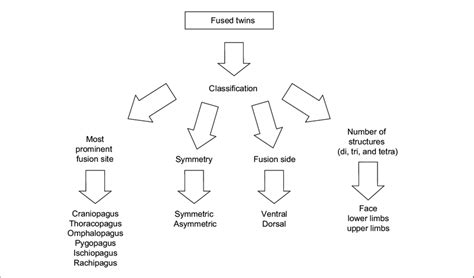Classification Of Conjoined Twins Download Scientific Diagram