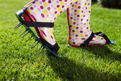 Best Lawn Aerators Electric Manual Plug Aerators Uk