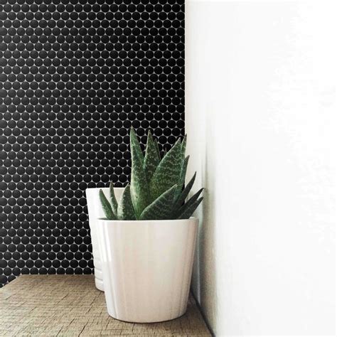 Ceratec Surfaces Candy