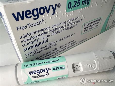 비만藥 ‘위고비 국내 출시는···노보노디스크제약 적기 도입 위해 최선”