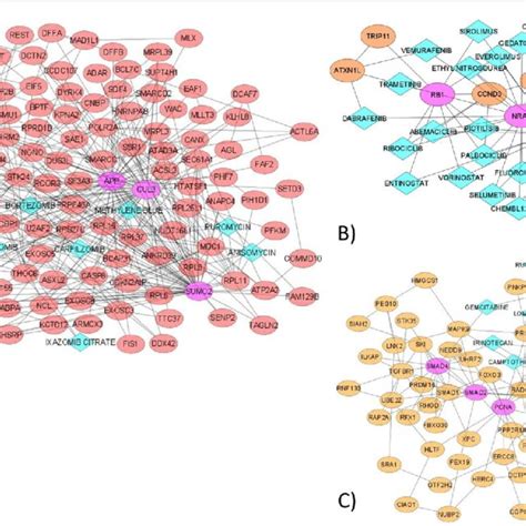 Community Detection The Figure Shows The Biggest Communities Download Scientific Diagram