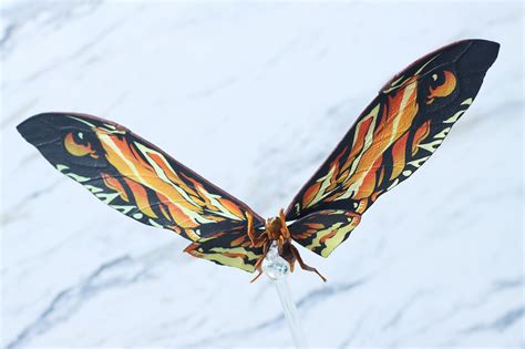 Shモンスターアーツ モスラ＆ラドン（2019） レビュー アメコミ・特撮・フィギュア情報ブログ Frc