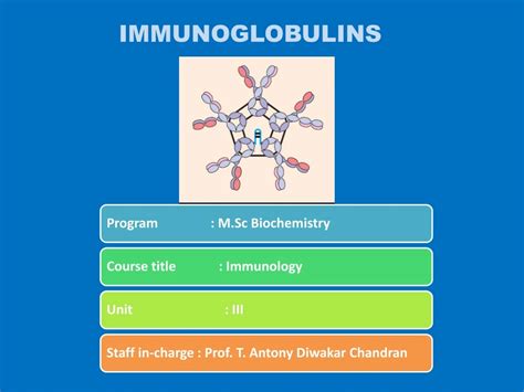 Ppt Immunoglobulins Structure And Functions Powerpoint Presentation